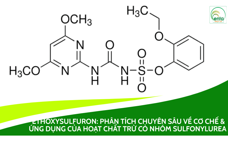 Hoạt chất Ethoxysulfuron: Phân Tích Chuyên Sâu Về Cơ Chế & Ứng Dụng Của ...